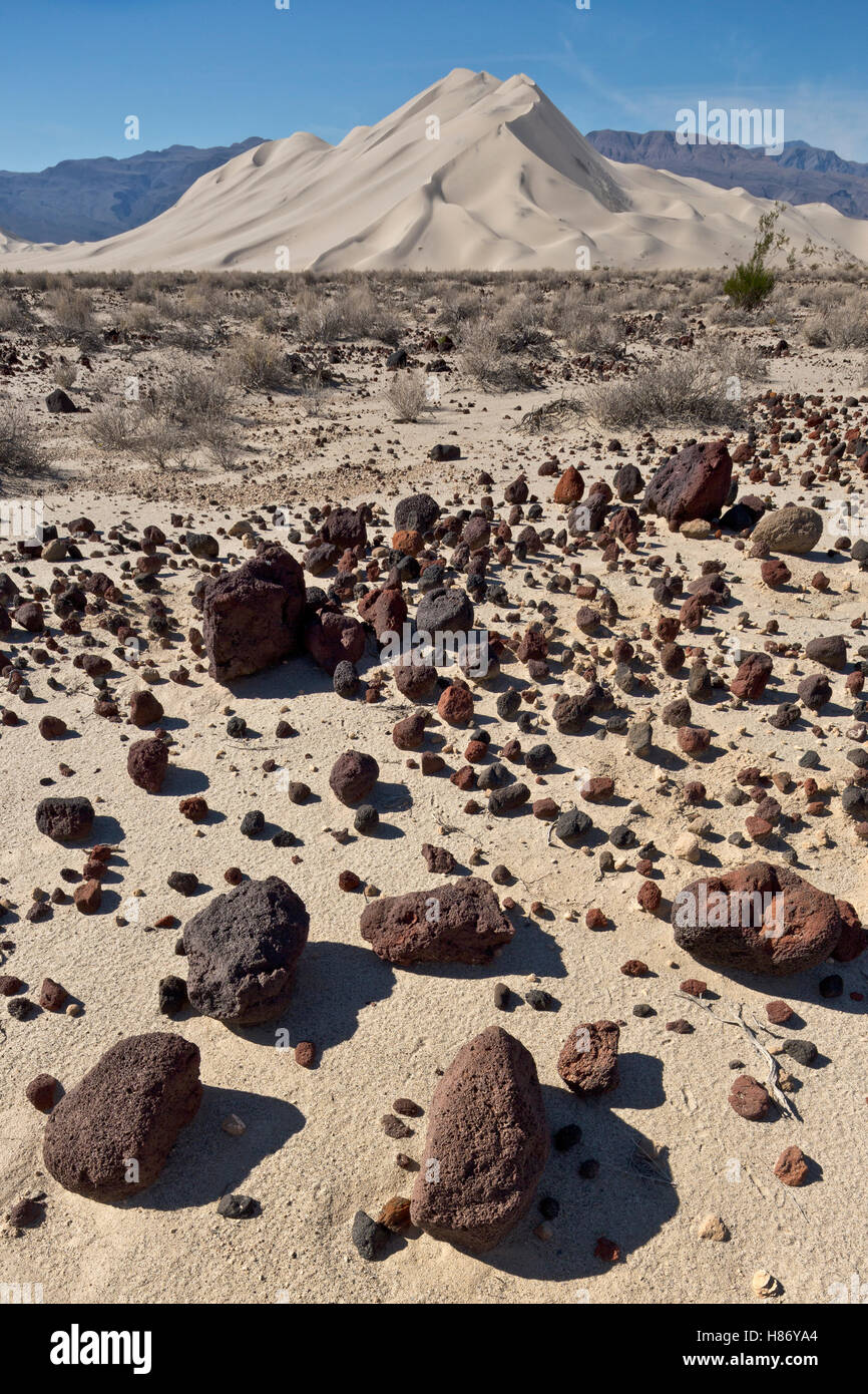 Sand dunes and scattered rocks, Death Valley National Park, California ...