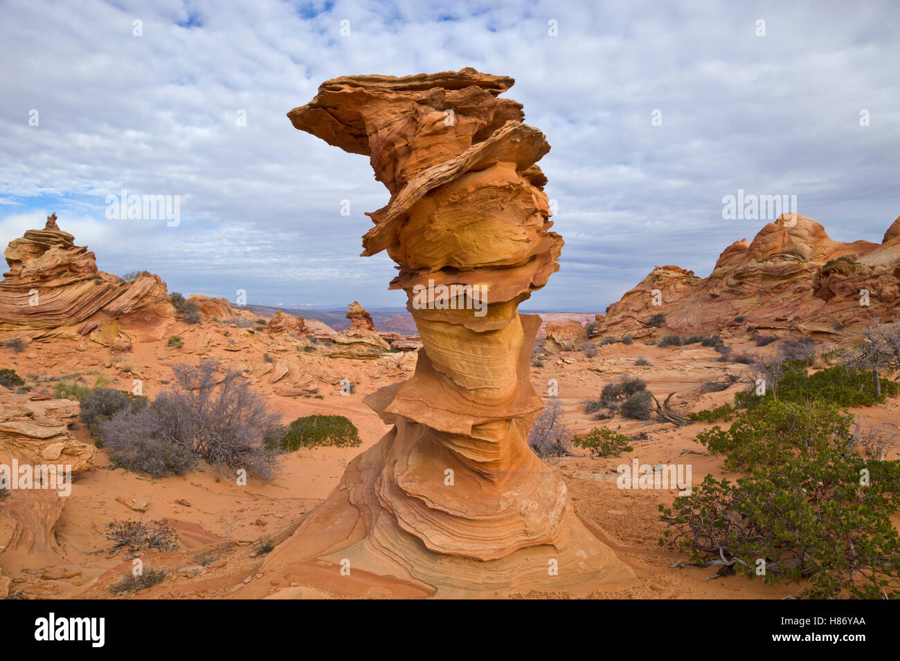 Sandstone rock formation, Vermillion Cliffs National Monument, Arizona ...