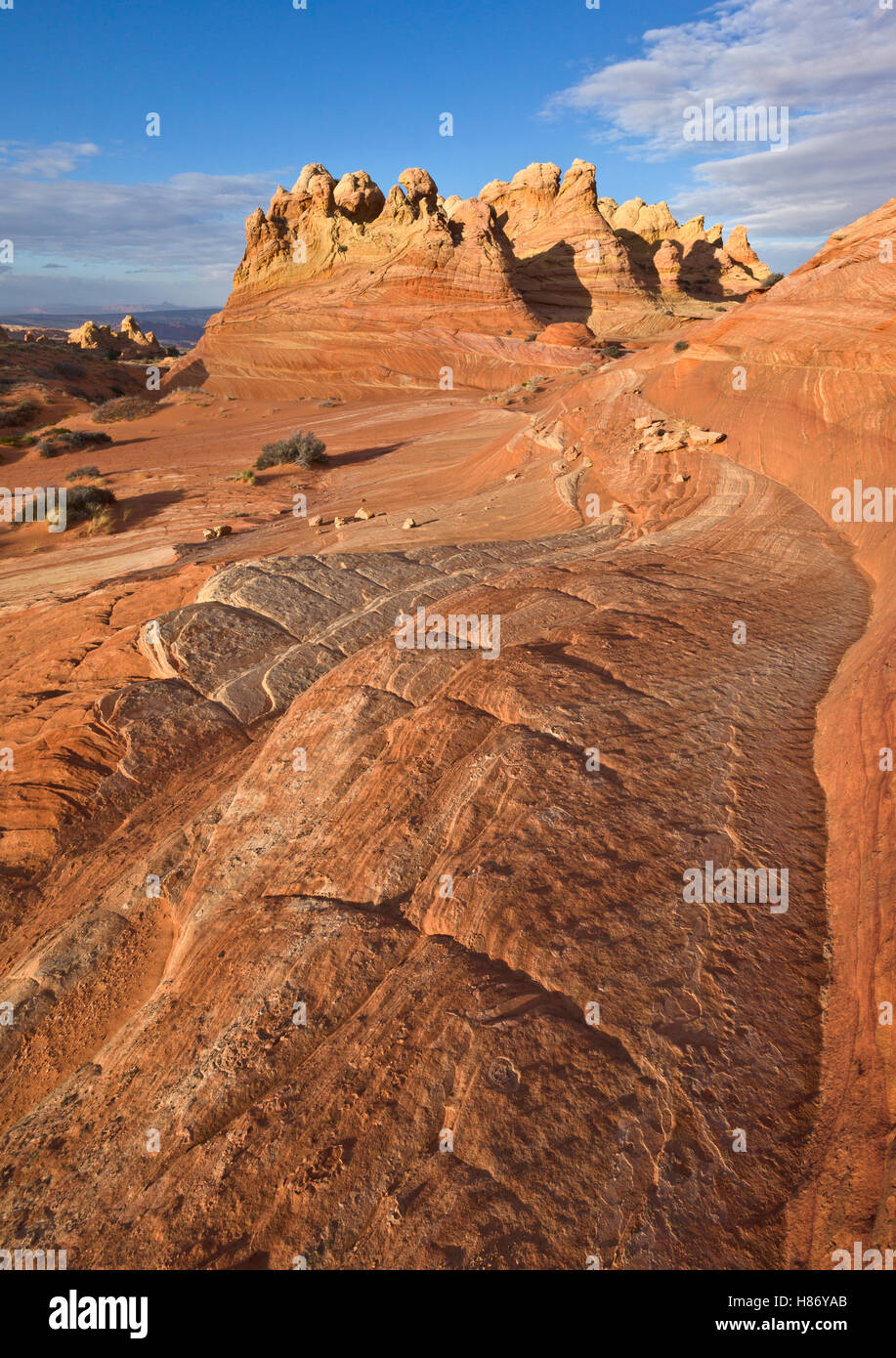 Sandstone rock formations, Vermillion Cliffs National Monument, Arizona ...