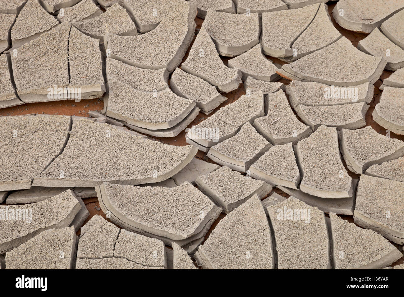 Dry cracked mud on river bank in desert, San Juan River, Utah Stock ...