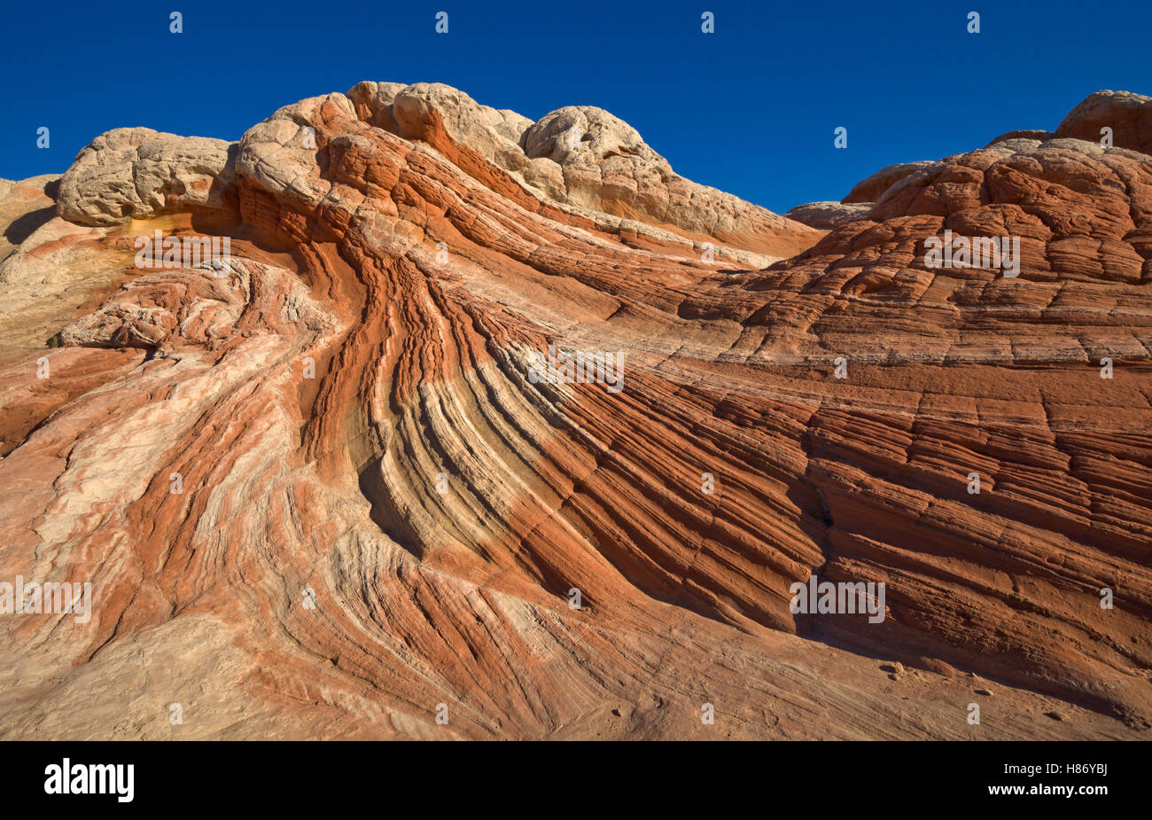 Eroded sandstone, Vermillion Cliffs National Monument, Arizona Stock ...