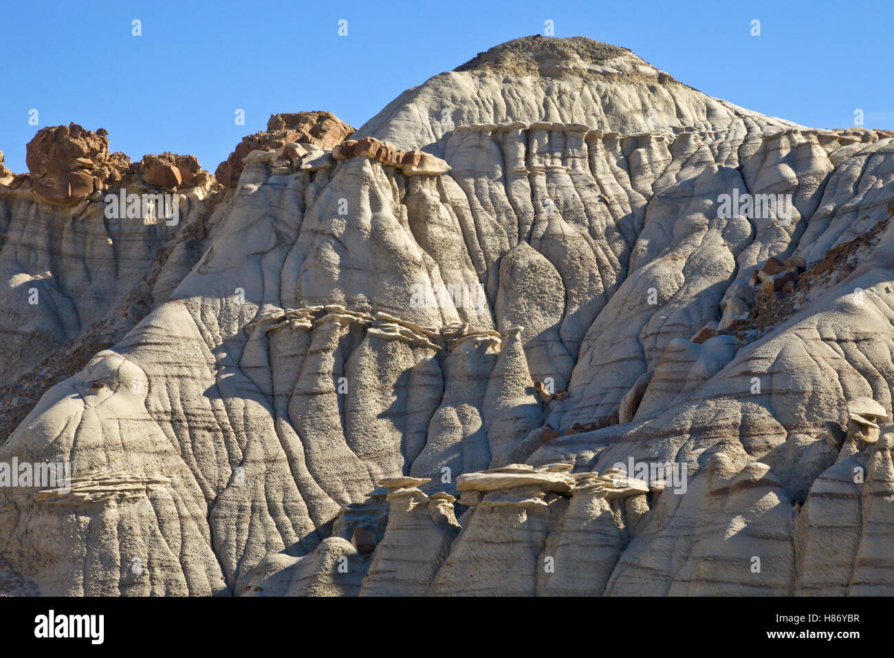 Sandstone rock formations, Bisti Wilderness Area, New Mexico Stock ...