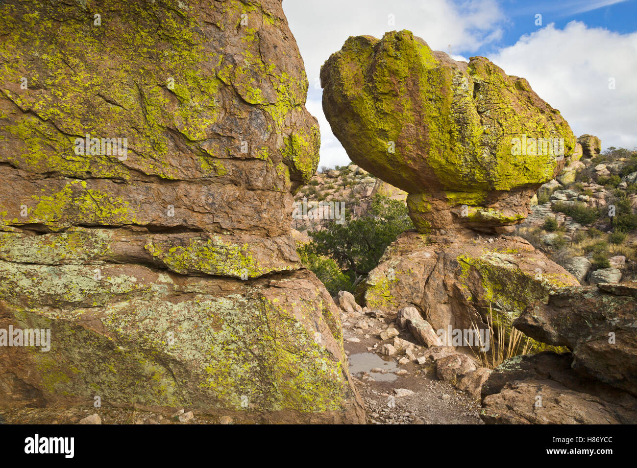 Rock formations, Chiricahua National Monument, Arizona Stock Photo - Alamy