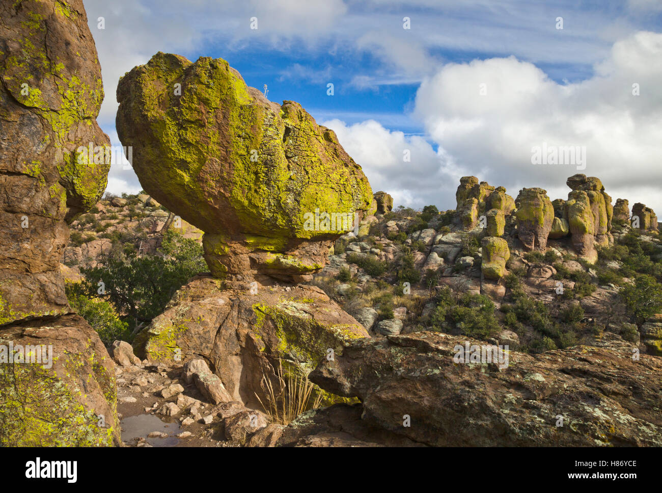Rock formations, Chiricahua National Monument, Arizona Stock Photo - Alamy
