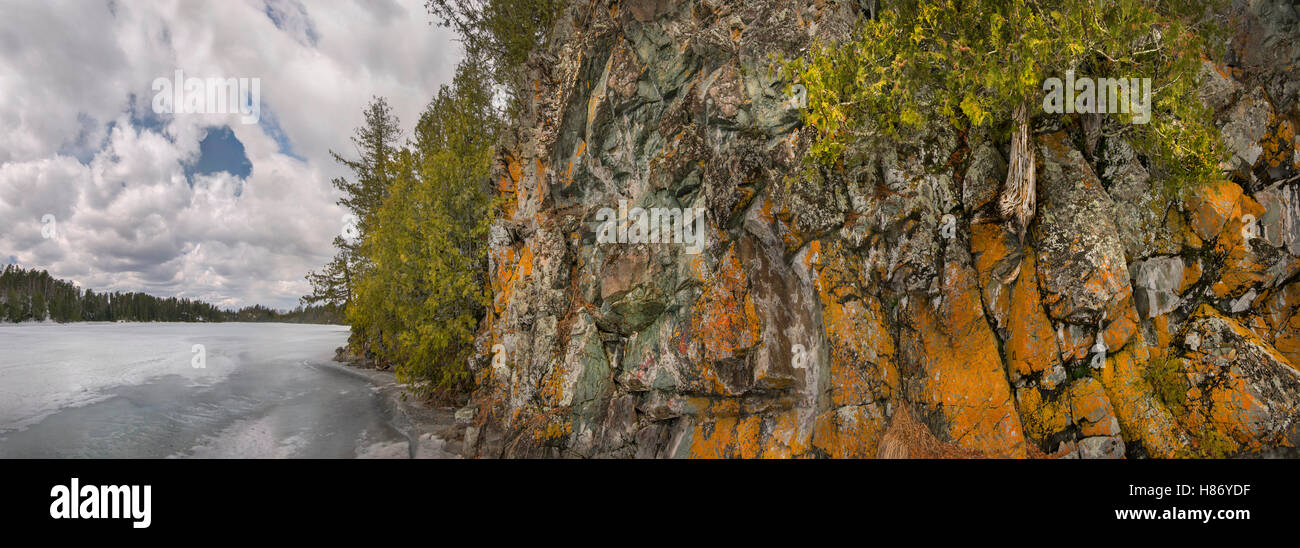 Cliff with lichen, Judd Lake, Superior National Forest, Minnesota Stock ...