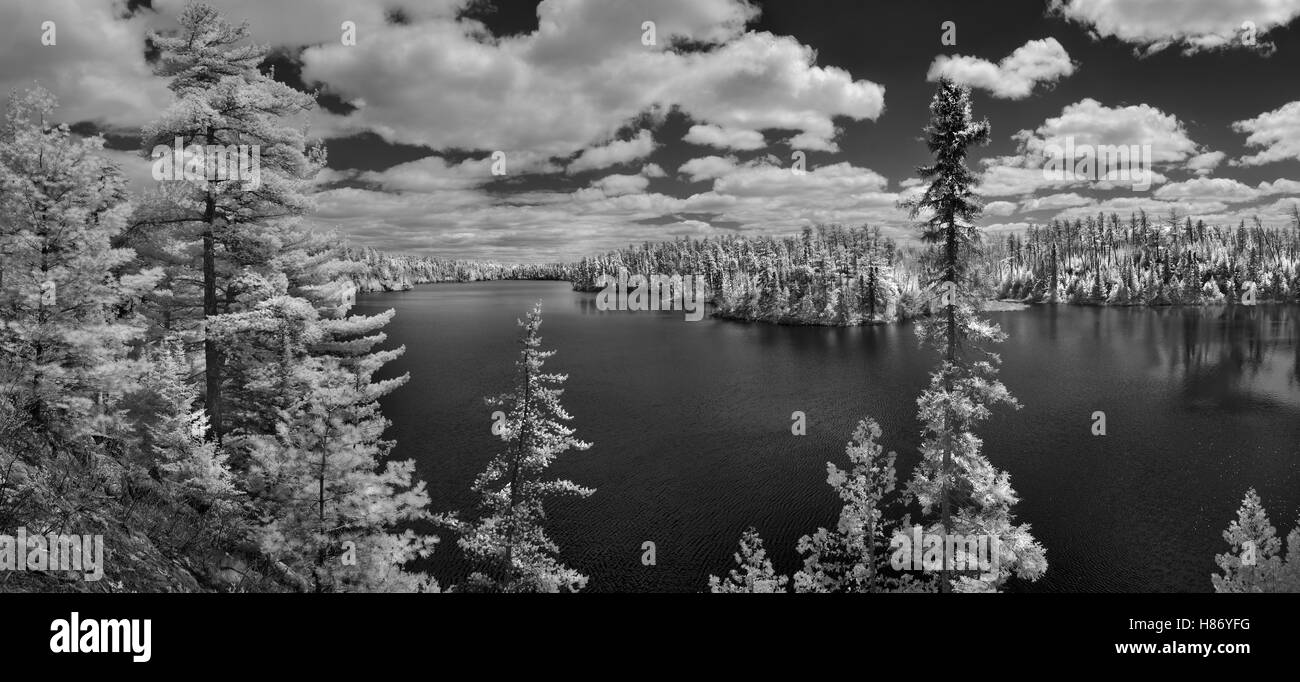 Forest on lake shore, Judd Lake, Superior National Forest, Minnesota ...