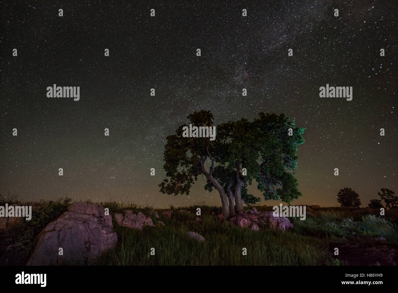 Trees at night, Blue Mounds State Park, Minnesota Stock Photo - Alamy