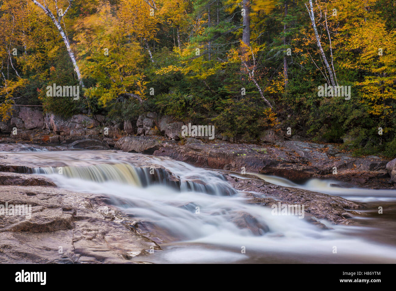 Trees in autumn along river, Sand River, Agawa Bay, Ontario, Canada ...