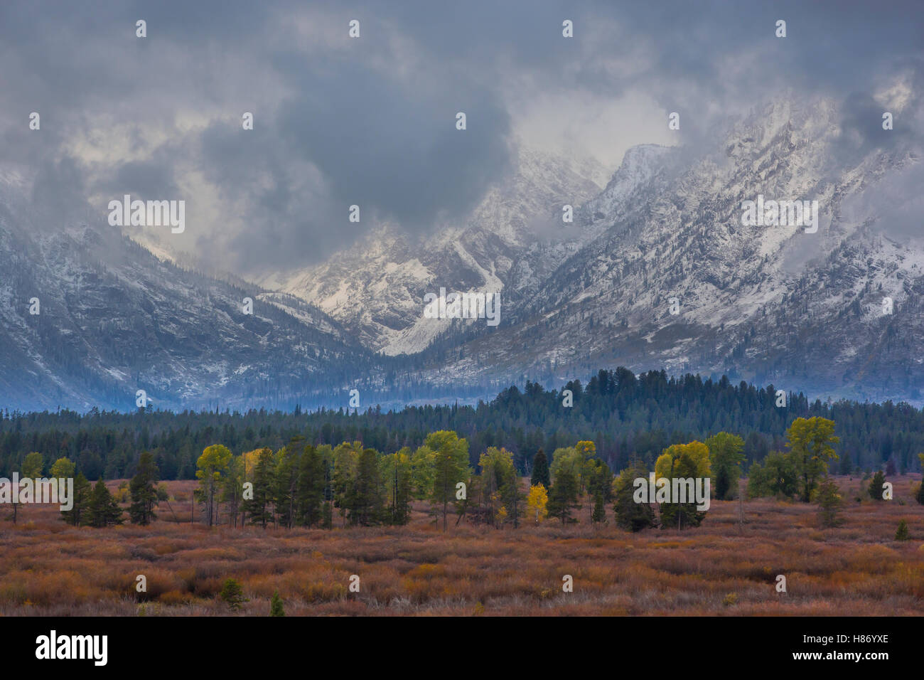 Valley in autumn with snow-covered mountains, Grand Tetons, Grand Teton ...
