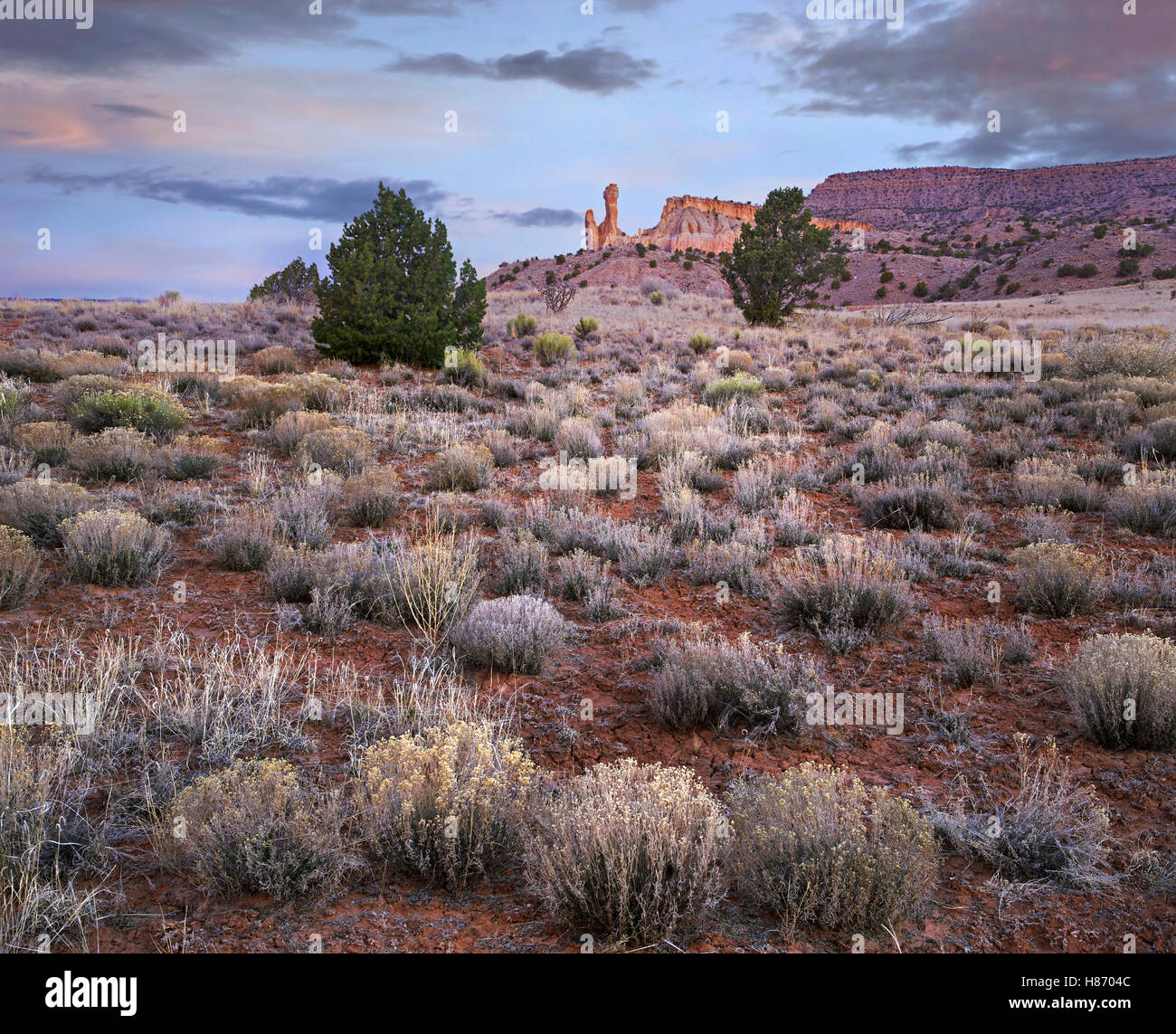 Rock formation in desert at dawn, Chimney Rock, Ghost Ranch, New Mexico ...