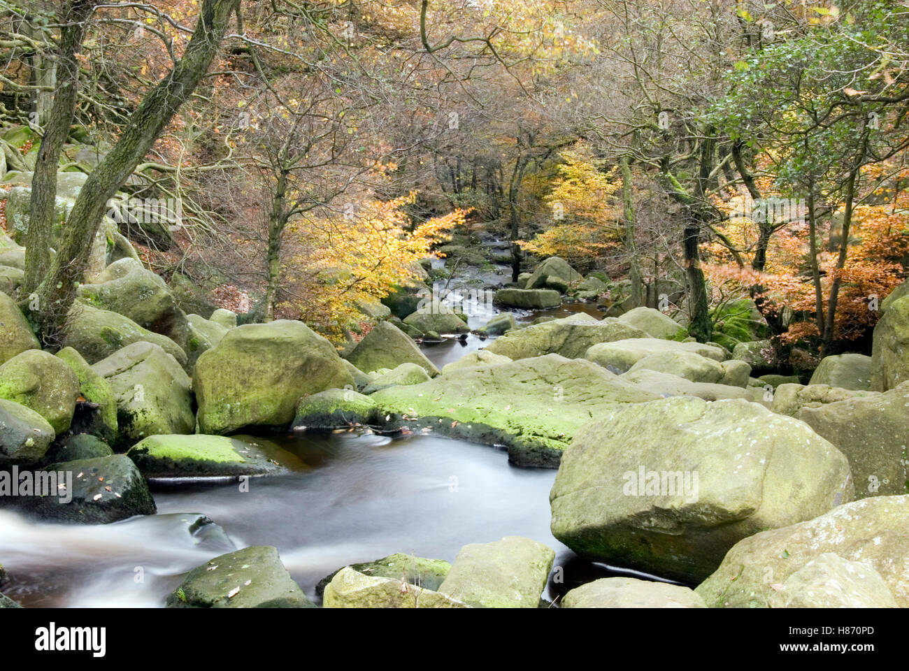 Padley gorge peak district hi-res stock photography and images - Alamy