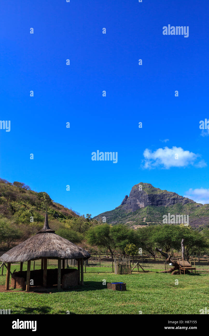 Petting farm at Casela Nature and Leisure Park with Rempart Mountain in ...