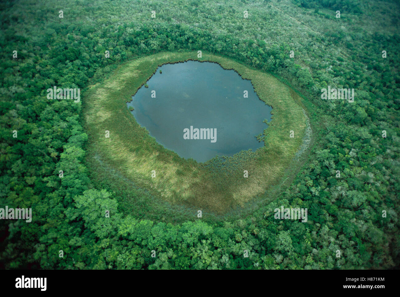 Aerial view of Aldama sinkholes or cenotes, vertical caves filled with ...