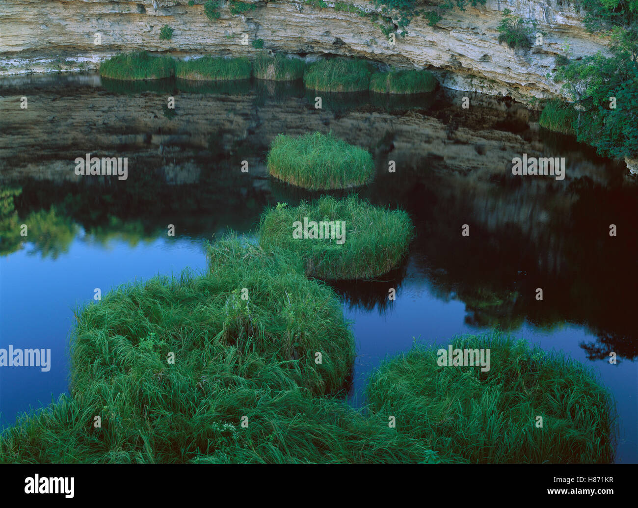 El Zacaton sinkhole or cenote with floating vegetation, near Aldama ...