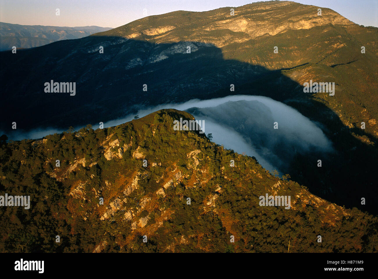 Fog rolling over cloud forest, Altas Cumbres Protected Area, Tamaulipas ...