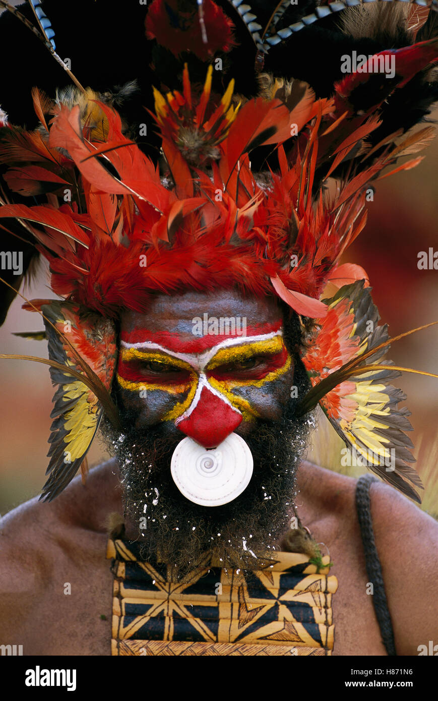 Aboriginal man wearing tribal headdress with feathers from King of ...