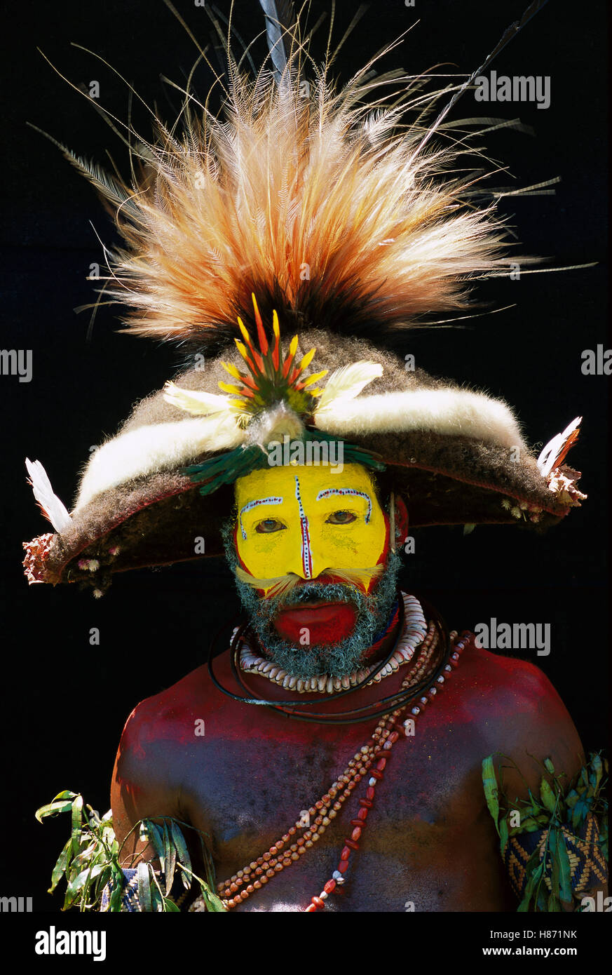 Huli man wearing a headdress made with feathers from Papuan Lorikeets ...