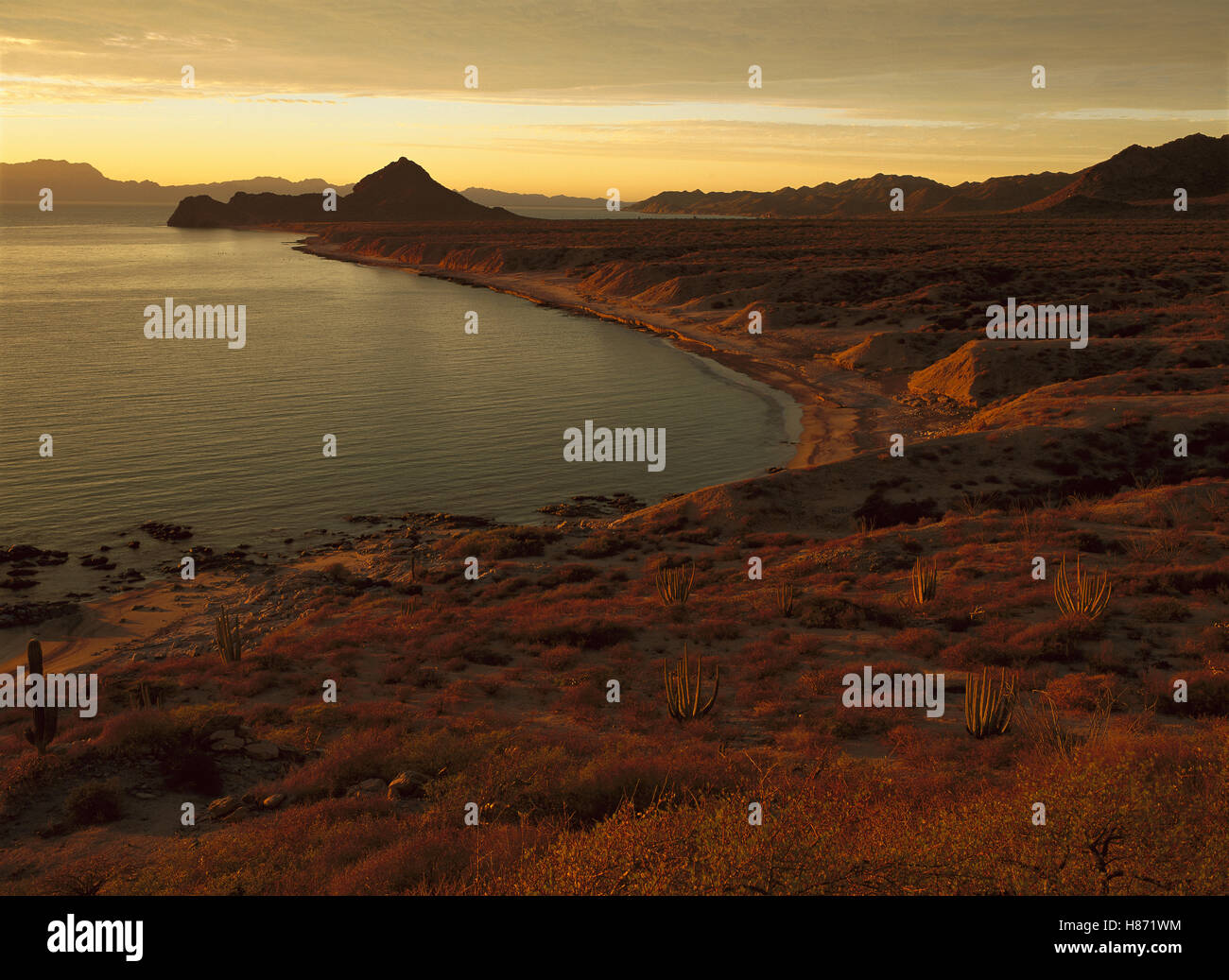 Tiburon island mexico hi-res stock photography and images - Alamy