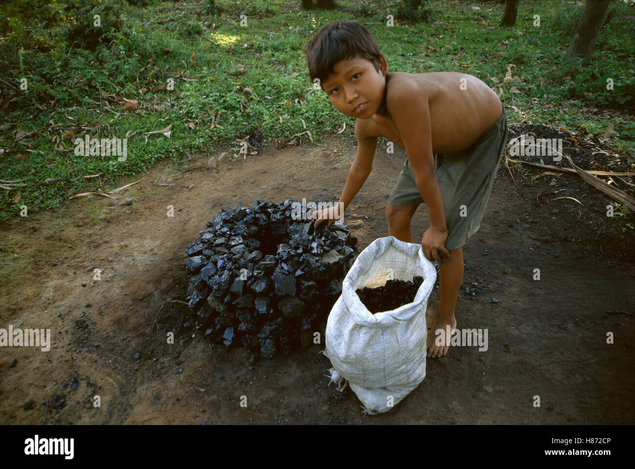 Young boys charcoal mining in the Indo-Burma hot spot Stock Photo - Alamy