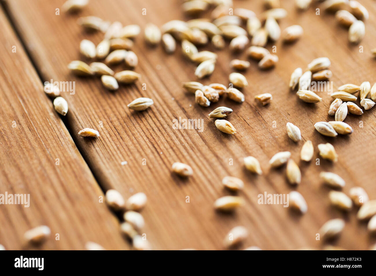 Corn cereal grain farming malt hi-res stock photography and images - Alamy
