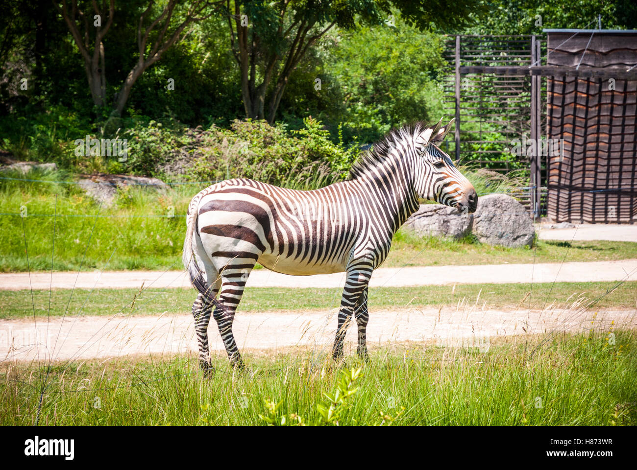 Lyon park hi-res stock photography and images - Alamy