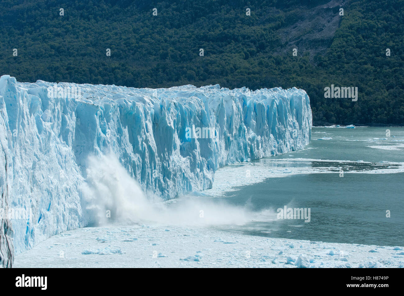 Ice breaking off from glacier, Perito Moreno Glacier, Los Glaciares ...