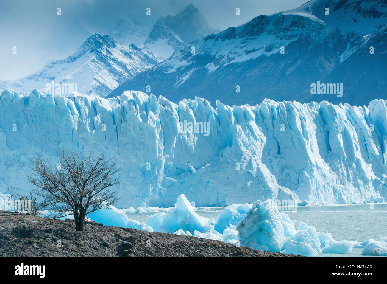 Perito Moreno Glacier, Los Glaciares National Park, Argentina Stock ...