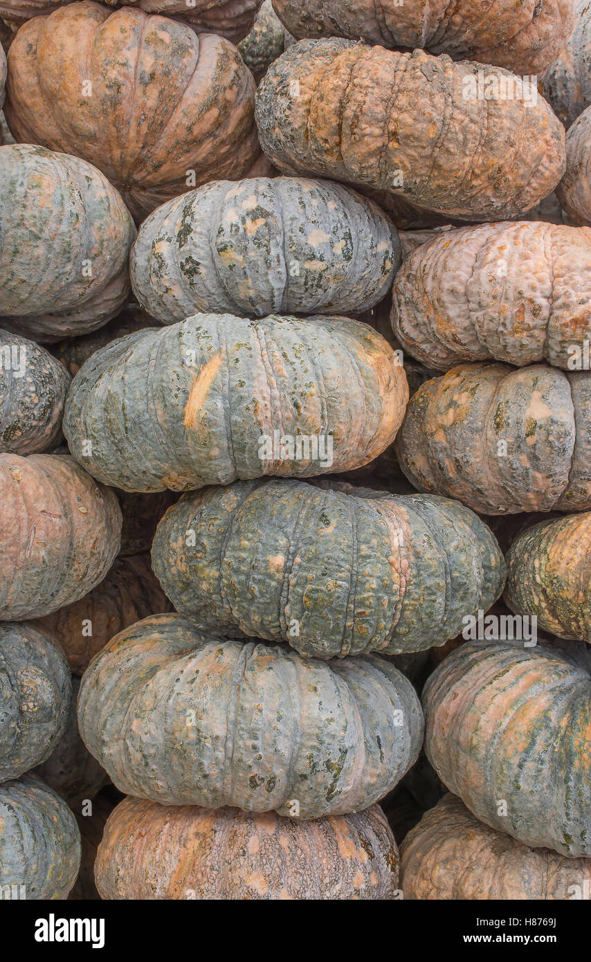 Pile of pumpkins hi-res stock photography and images - Alamy