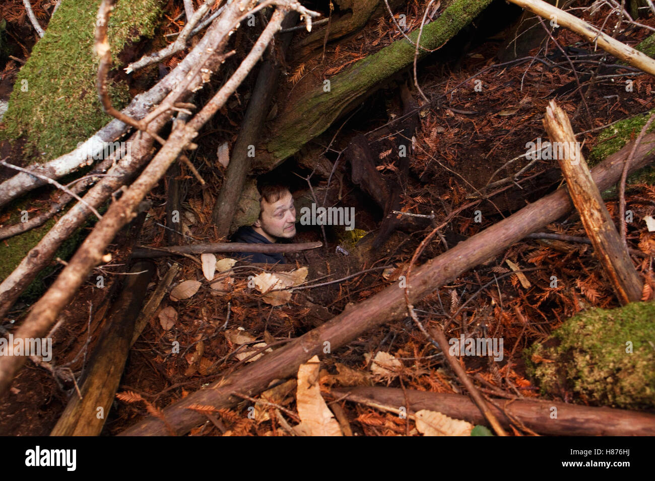 Mountain Lion (Puma concolor) biologist, Max Allen, inside den in large ...