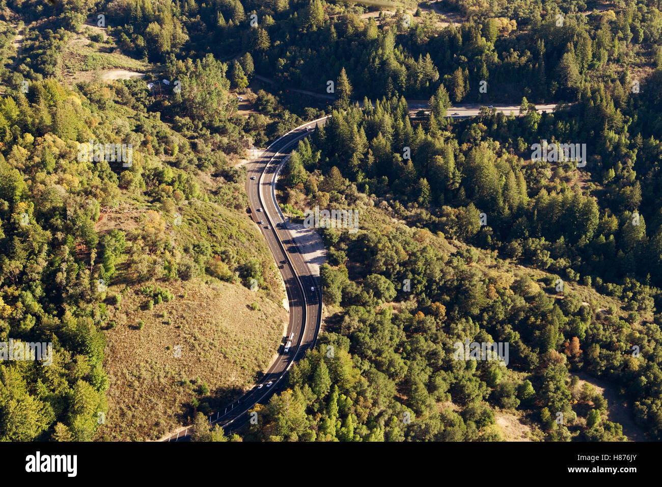 Highway acting as a barrier for wildlife, Laurel Curve, Highway 17 ...