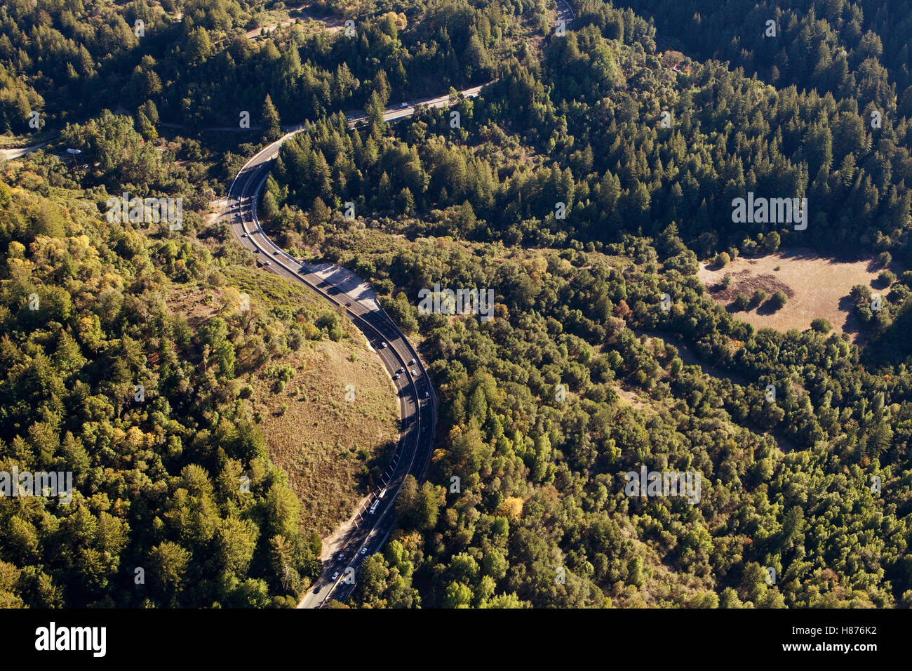 Highway acting as a barrier for wildlife, Laurel Curve, Highway 17 ...