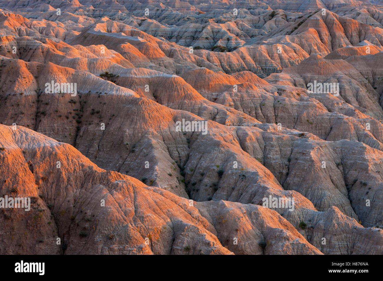 Sandstone rock formations, Badlands National Park, South Dakota Stock ...