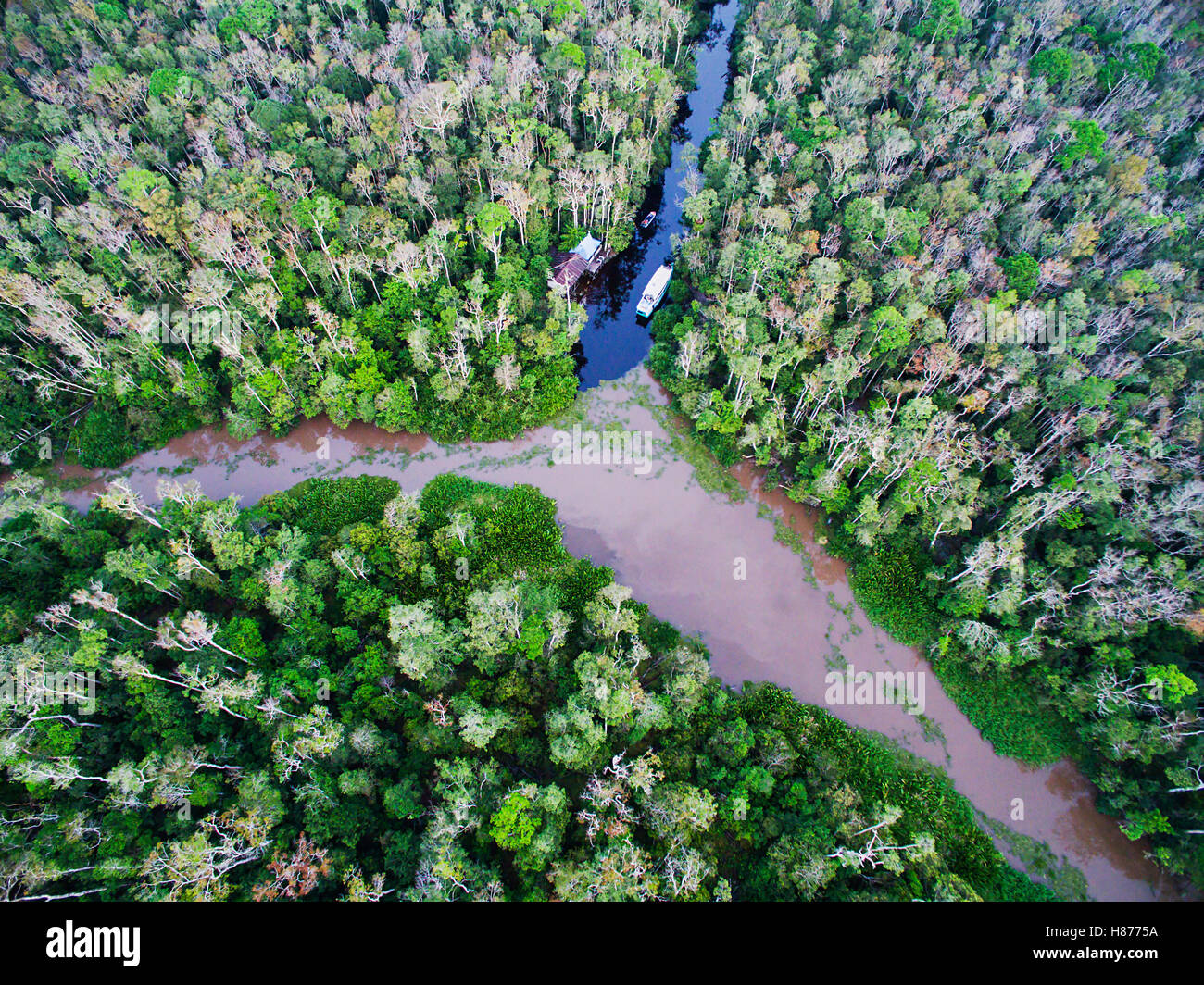 Sediment laden river, a result of deforestation, Borneo, Indonesia ...