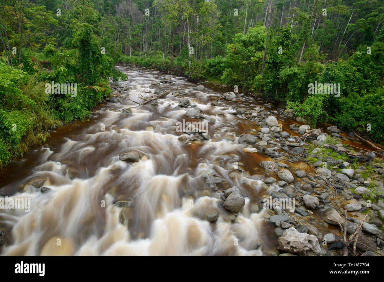 Stream in rainforest, Sulawesi, Indonesia Stock Photo - Alamy