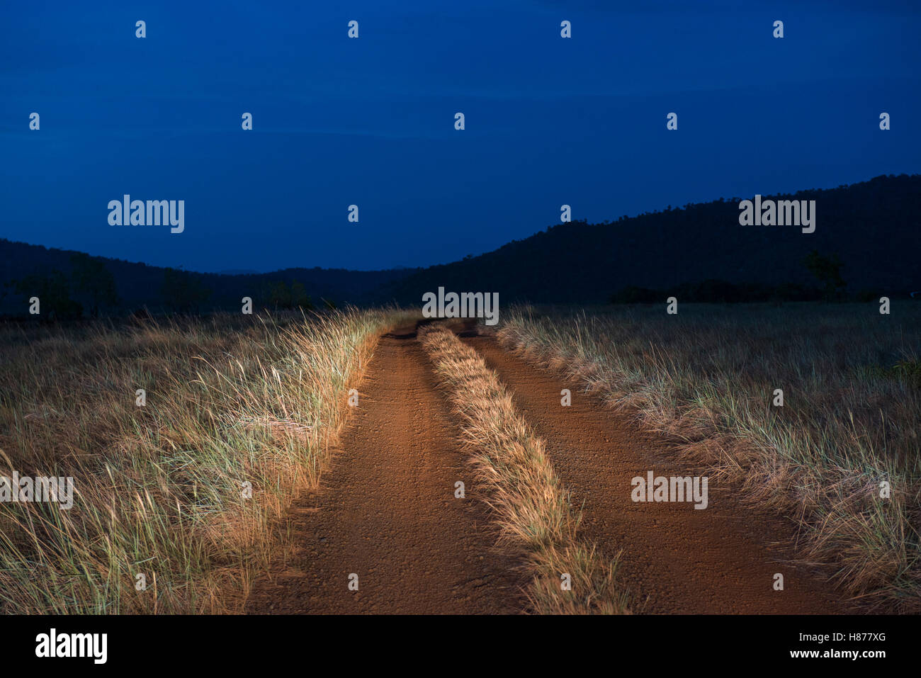 Dirt road in savanna at dusk, Rupununi, Guyana Stock Photo - Alamy