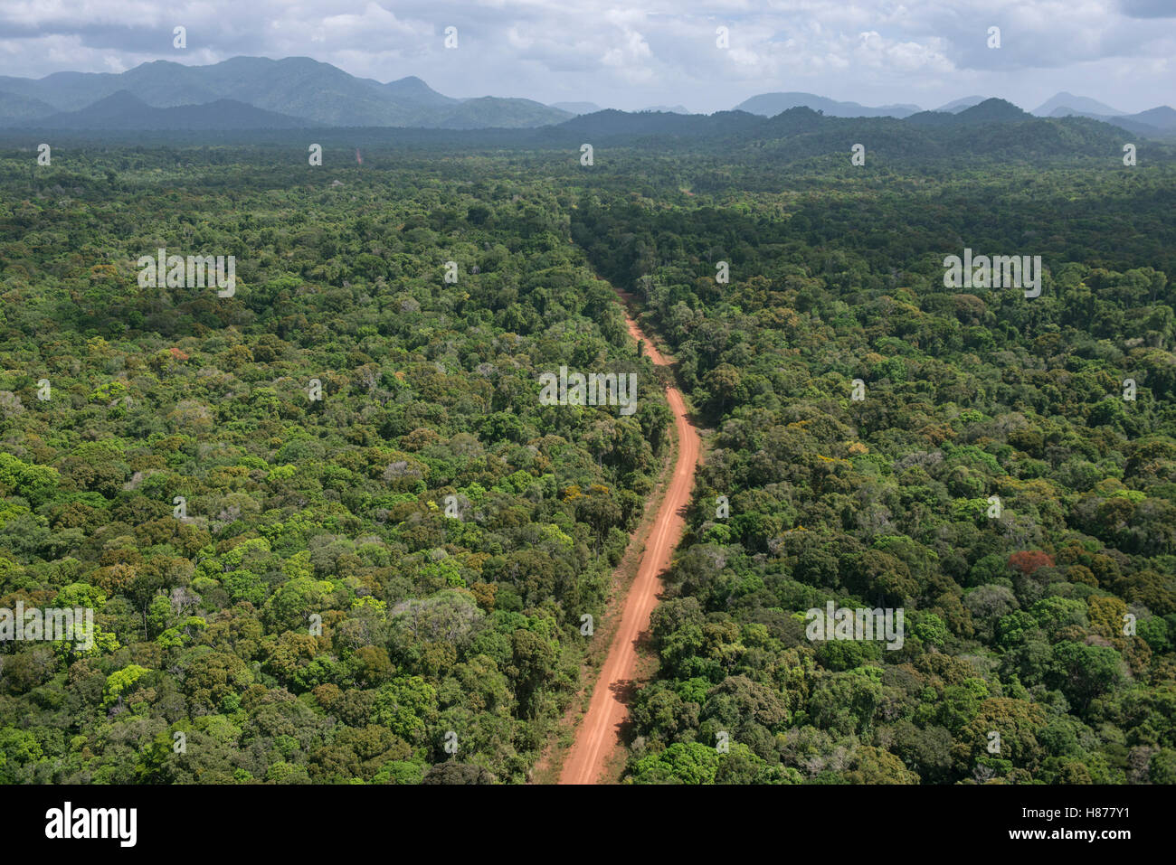 Dirt road in rainforest, Rupununi, Guyana Stock Photo - Alamy