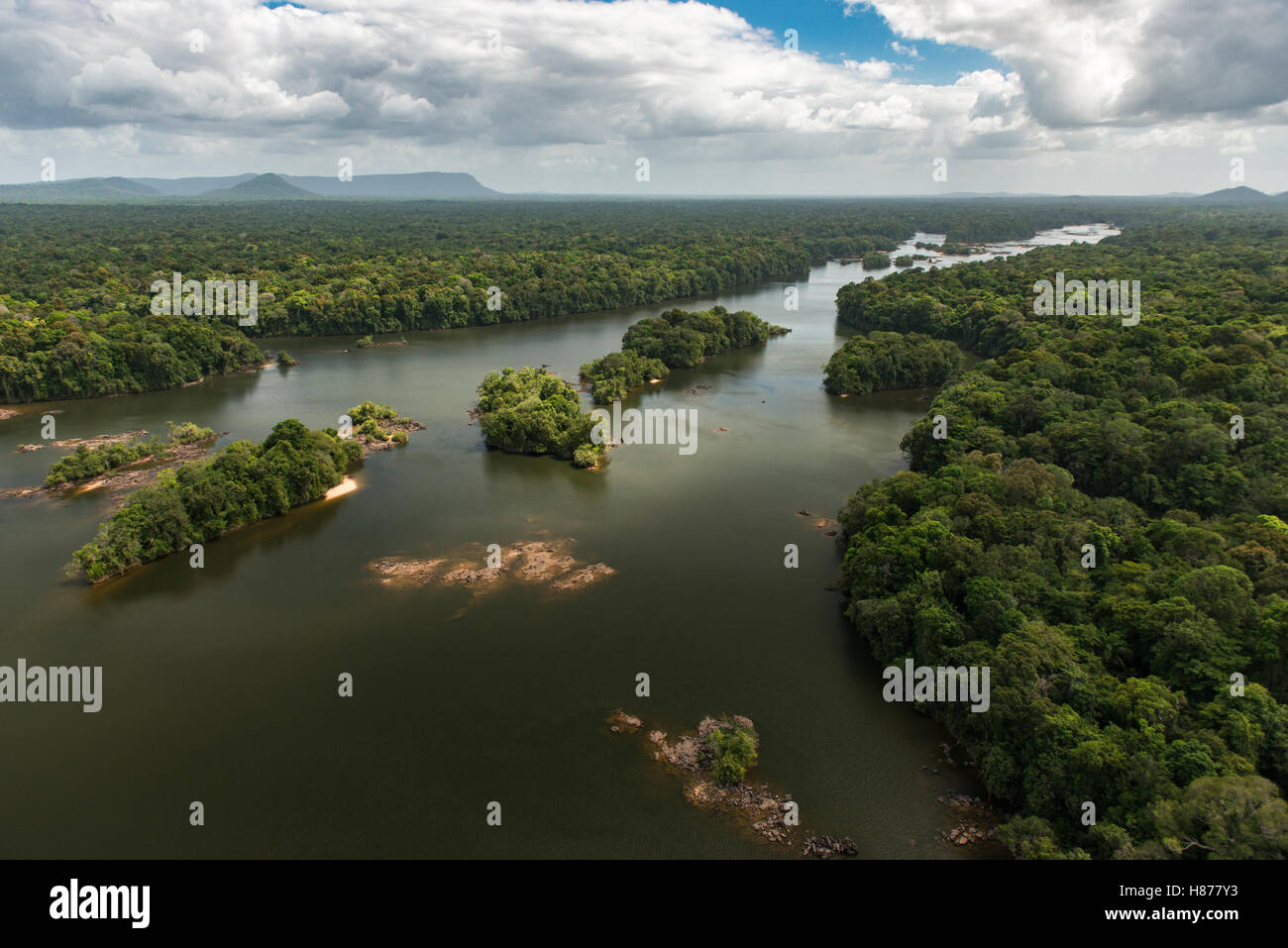 River in rainforest, Essequibo River, Rupununi, Guyana Stock Photo - Alamy