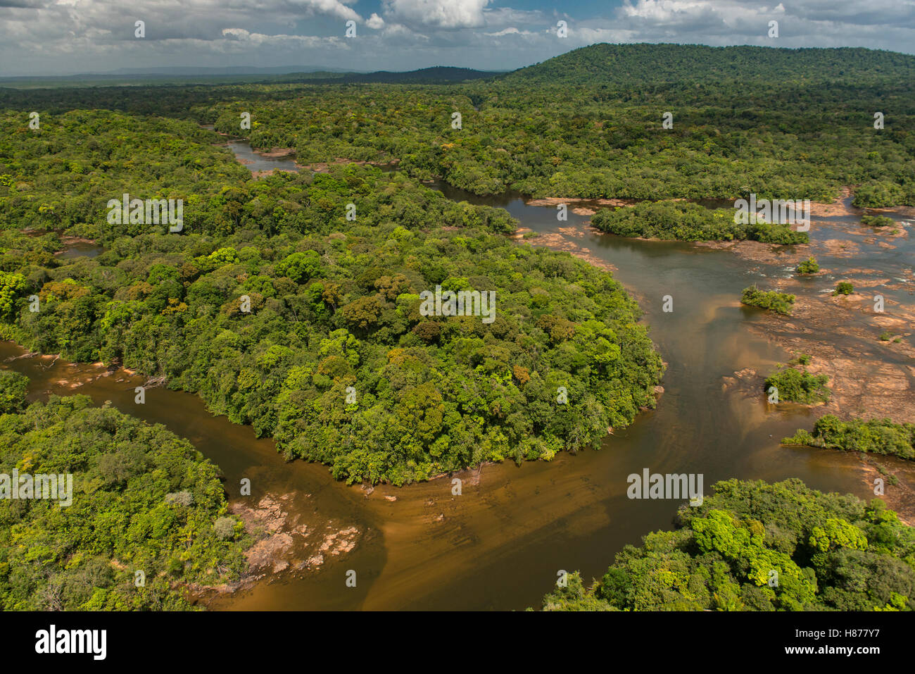 River in rainforest, Essequibo River, Rupununi, Guyana Stock Photo - Alamy