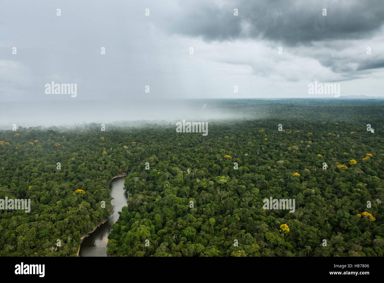 Rain falling over rainforest, Essequibo River, Rupununi, Guyana Stock ...