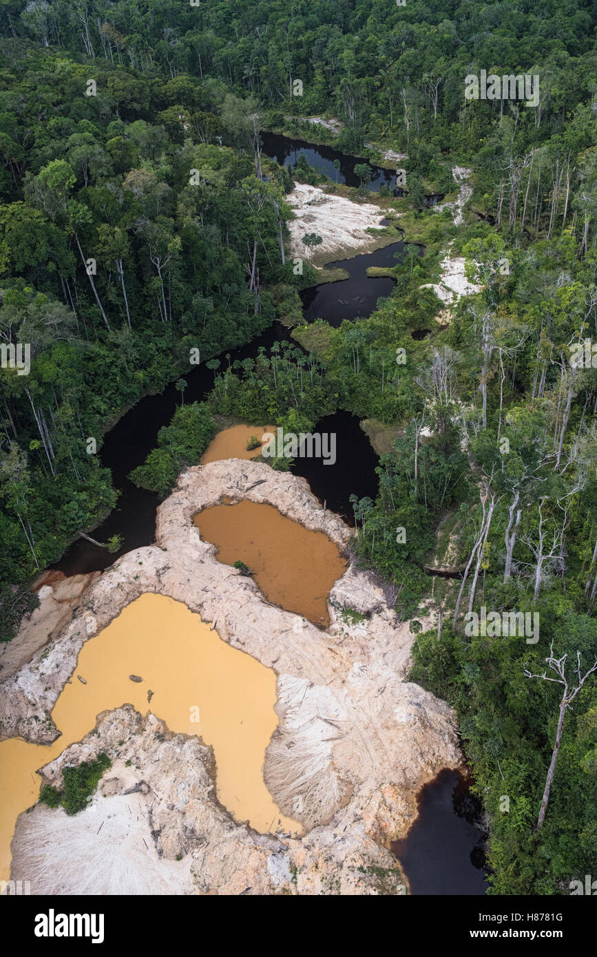 Gold mining in rainforest, Guyana Stock Photo - Alamy