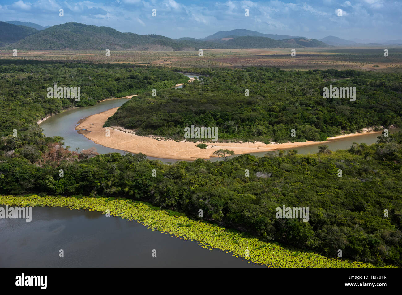 Rupununi River flowing through rainforest, Rupununi, Guyana Stock Photo ...