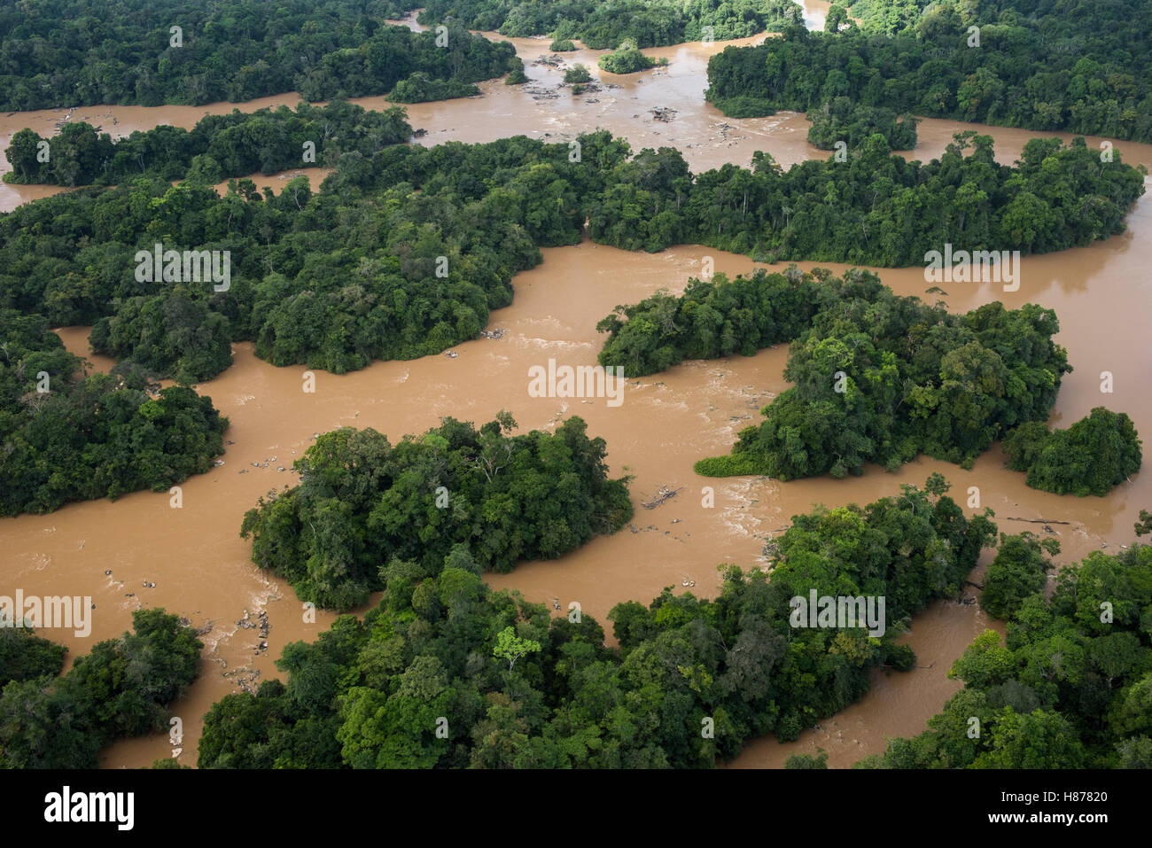 Silted river in rainforest, Cuyuni River, Guyana Stock Photo - Alamy