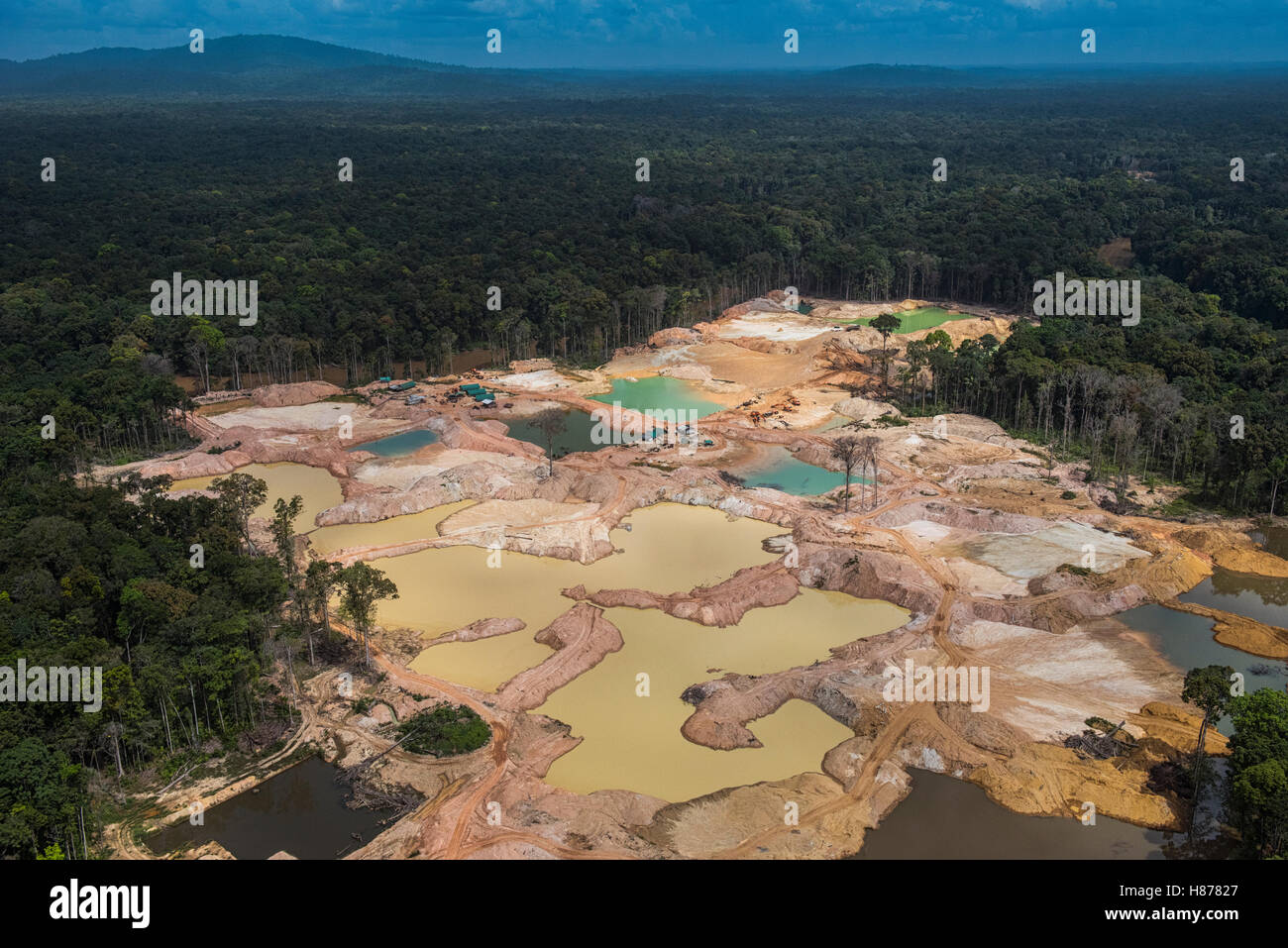 Gold mining in rainforest, Guyana Stock Photo - Alamy