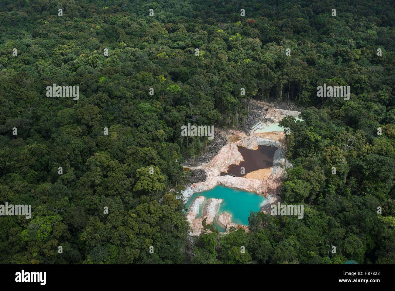 Gold mining in rainforest, Guyana Stock Photo - Alamy