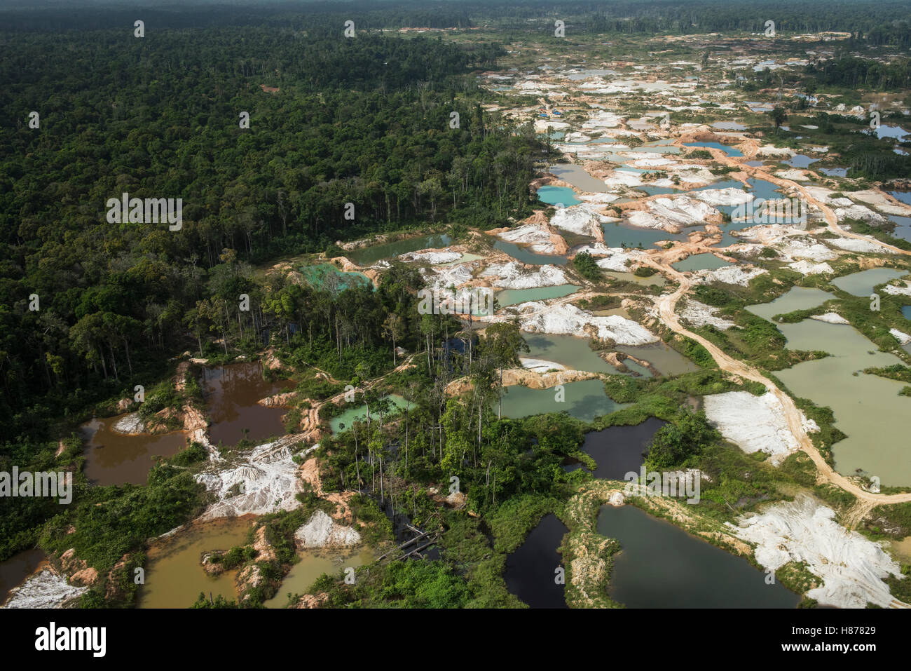 Gold mining in rainforest, Guyana Stock Photo - Alamy
