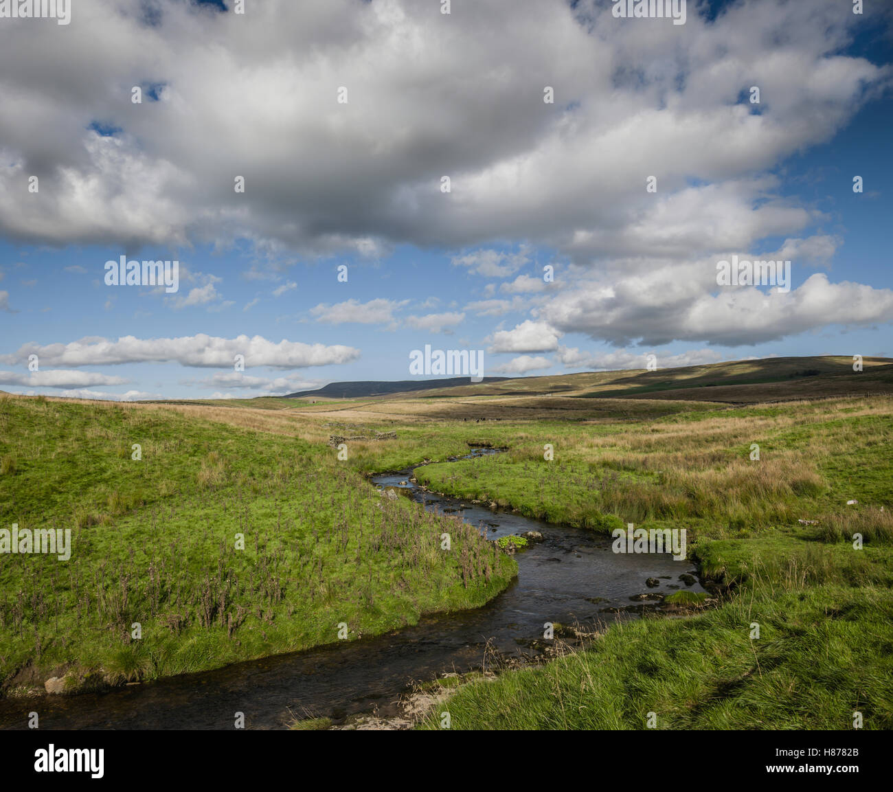 The landscape around Stainforth, Yorkshire Dales, UK Stock Photo - Alamy