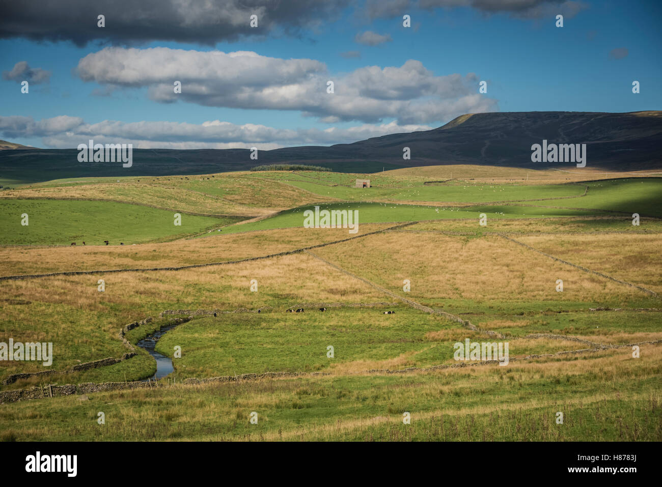 The landscape around Stainforth, Yorkshire Dales, UK Stock Photo - Alamy