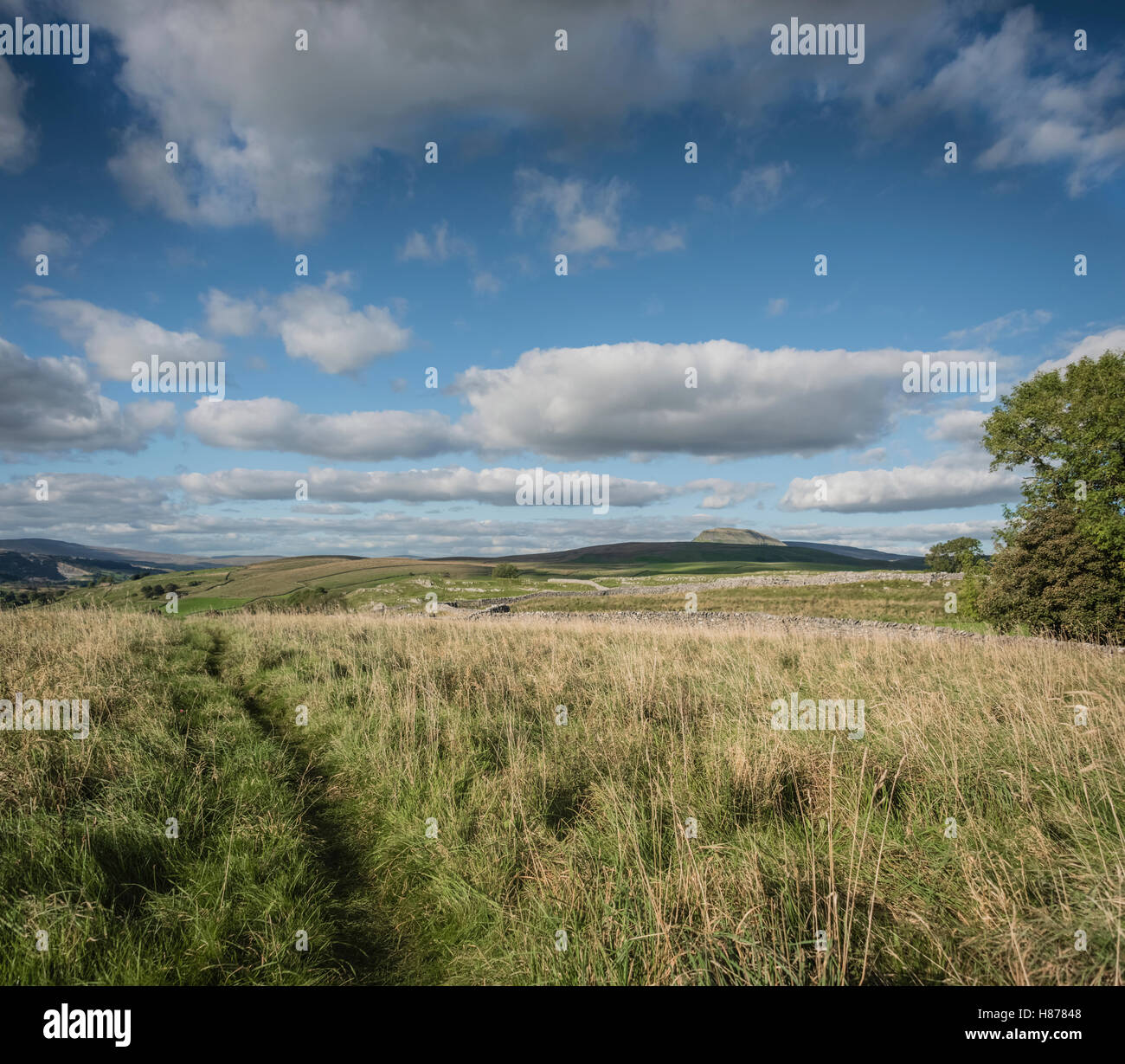 The landscape around Stainforth, Yorkshire Dales, UK Stock Photo - Alamy