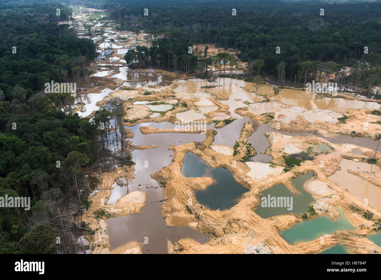 Gold mining in rainforest, Guyana Stock Photo - Alamy