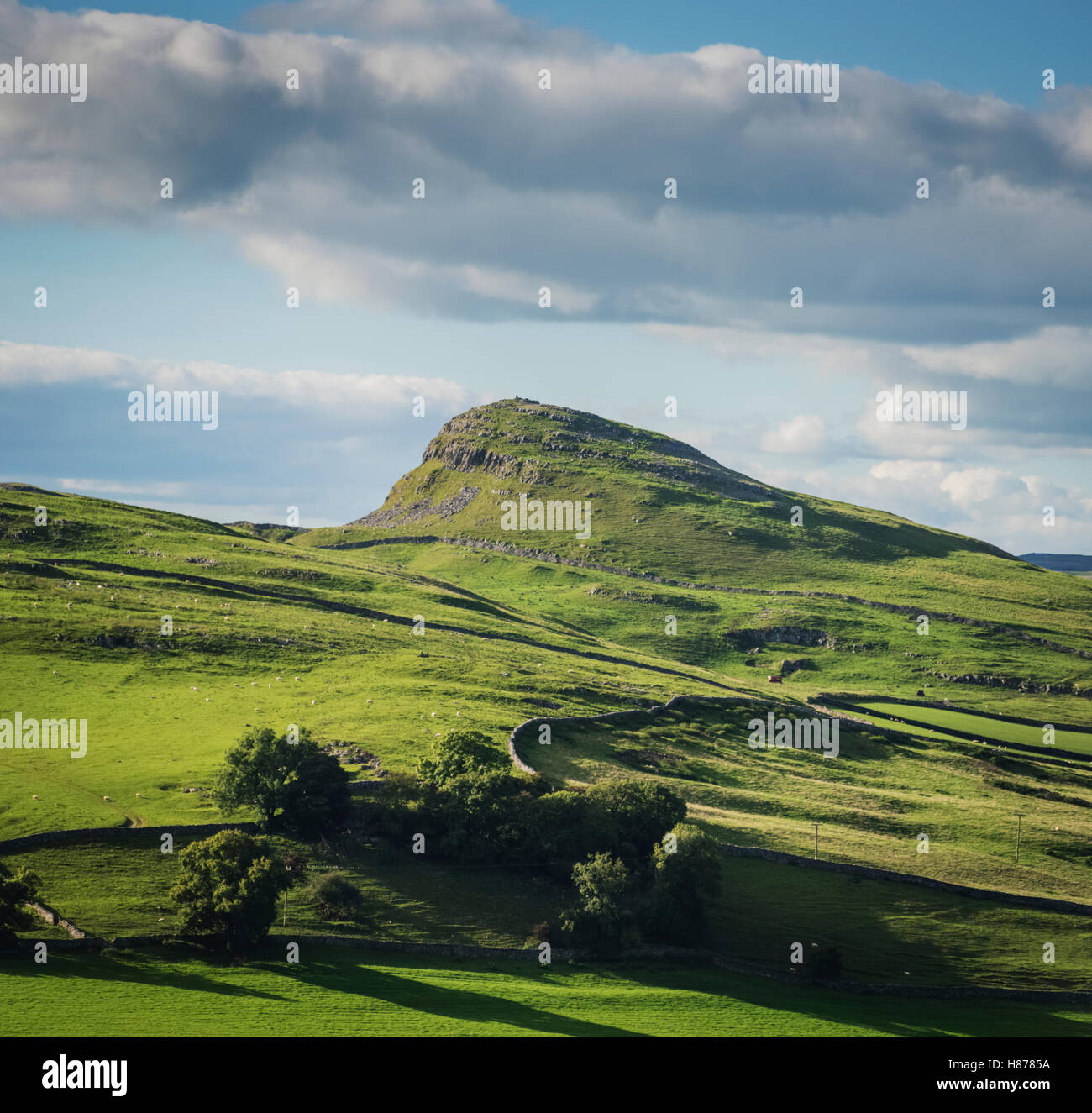 The landscape around Stainforth, Yorkshire Dales, UK Stock Photo - Alamy